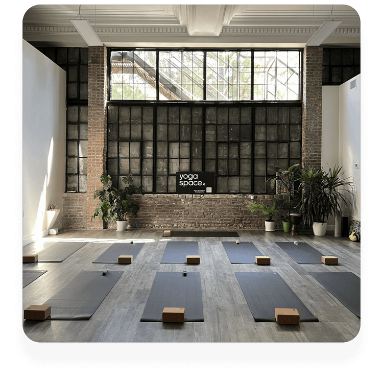 Puppies & Yoga in US – Puppies&Yoga